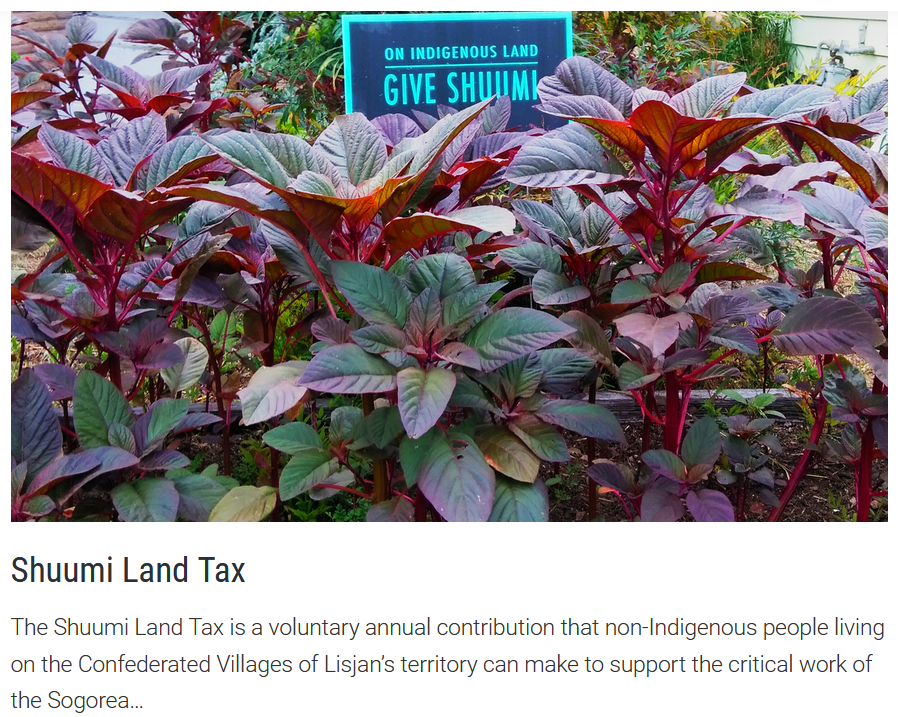 Philanthro_Meme: | (n) philanthropic ideas moving, evolving, adapting ...